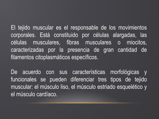 Anatomia y fisiologia del sistema muscular | PDF