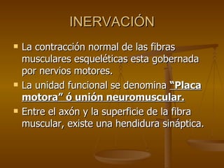 Tejido muscular cons | PPT