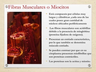 HISTOLOGIA I: Tejido MUSCULAR PARTE 1.pdf