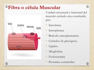 HISTOLOGIA I: Tejido MUSCULAR PARTE 1.pdf
