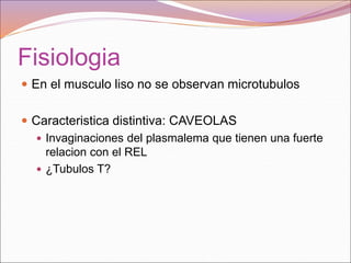 TEJIDO MUSCULAR LISO Y CARDIACO......... | PPT