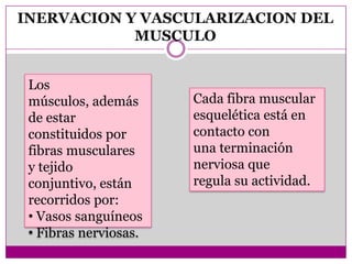 Tejido musculo esqueletico2 | PPTX