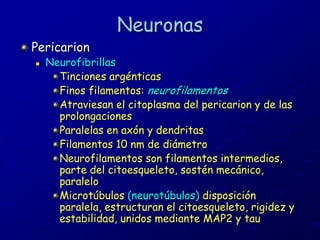 Histología del sistema nervioso | PPT