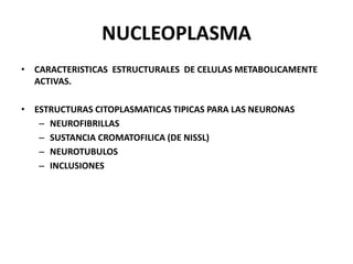 Tejido nervioso | PPTX