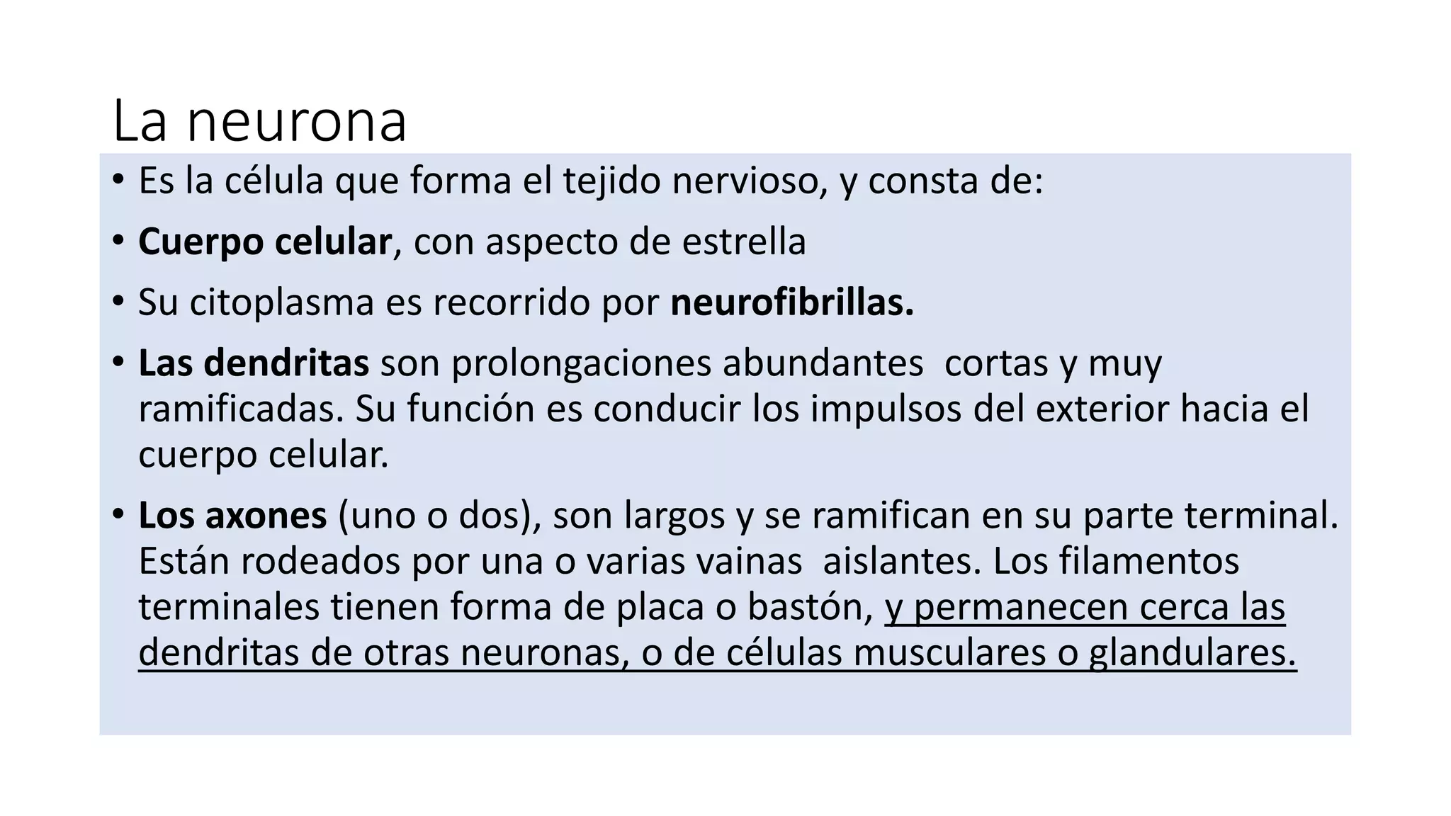 Tejido nervioso | PPTX