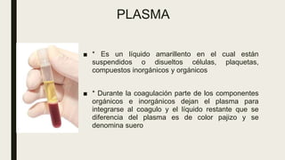 Tejido sanguineo | PPTX