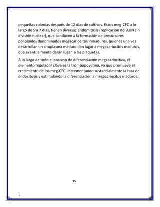 TEJIDO SANGUINEO | DOCX