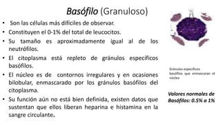 TEJIDO SANGUINEO Y HEMATOPOYETICO-PRESENTACIÓN.pptx