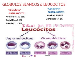 Histologia humana 3 Tejido sanguíneo..pptx