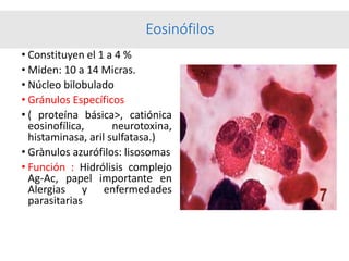 Histologia humana 3 Tejido sanguíneo..pptx