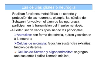 tipos de tejidos de animal - histologia - 1 | PPT