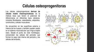 Tejido óseo presentación.pptx. 000000000000 | PPTX