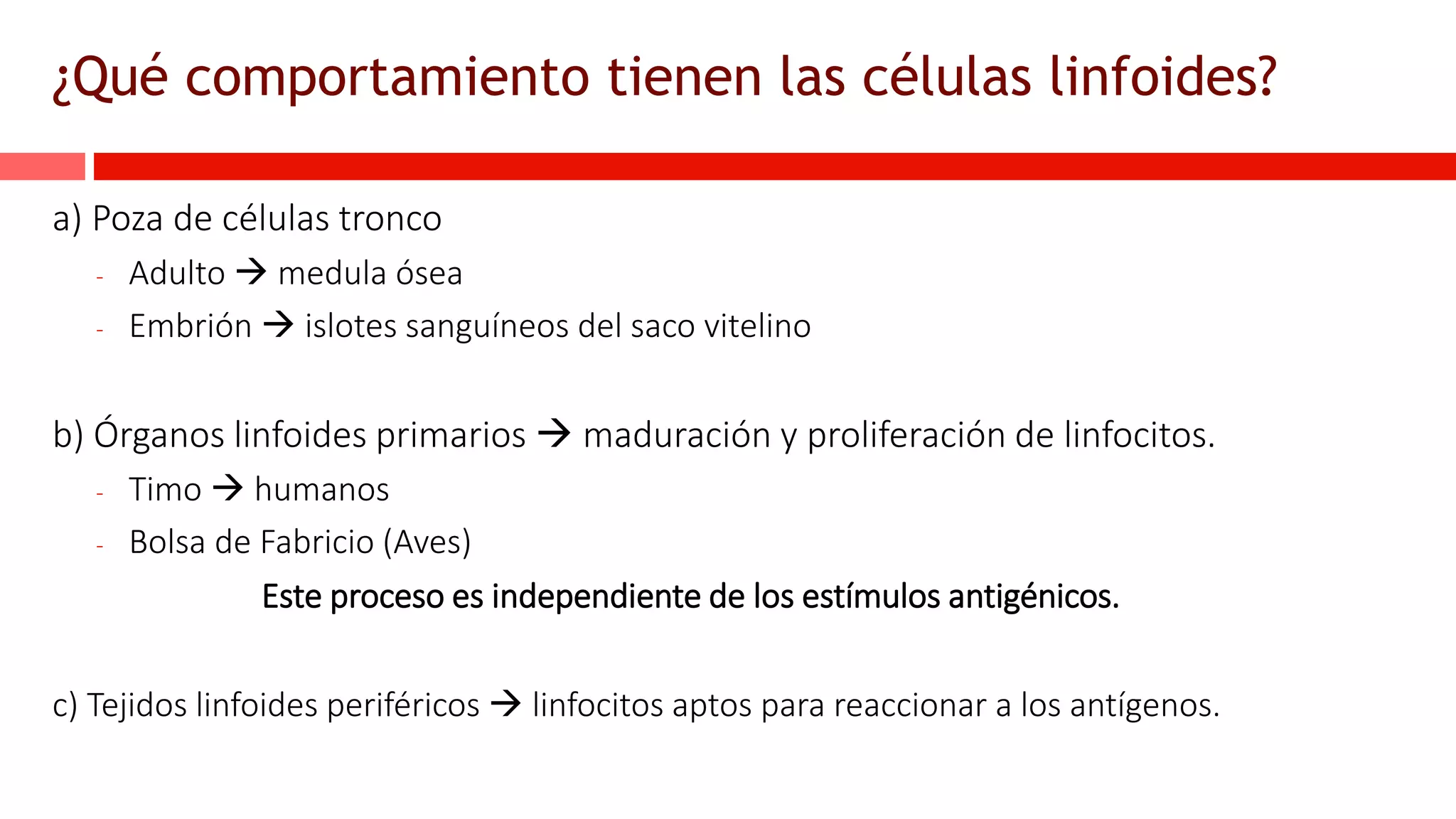 Tejidos linfoides | PPTX