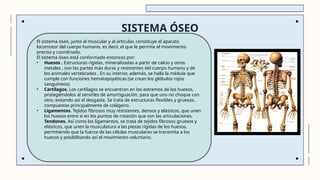 TEJIDOS, ORGANOS Y SISTEMAS generalidades .pptx