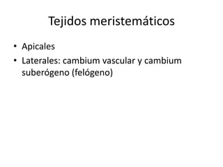 Tejidos vegetales | PPTX