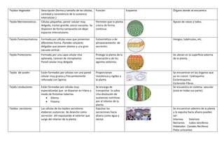 Tejidos Vegetales .docx