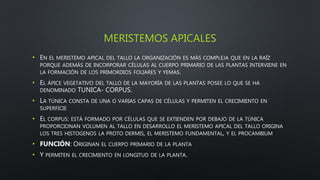 Tejidos vegetales ppt cuarto.pptx