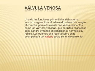 Tejido vascular | PPTX