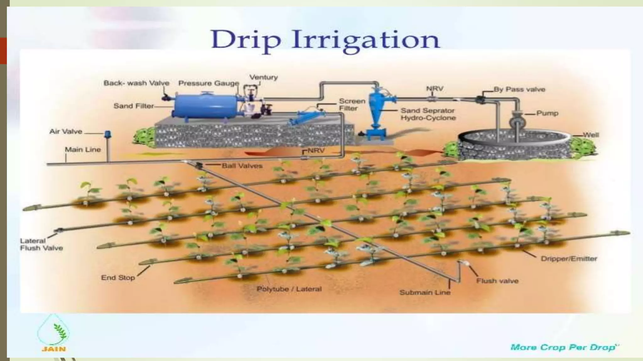 ppt on drip irrigation | PPTX