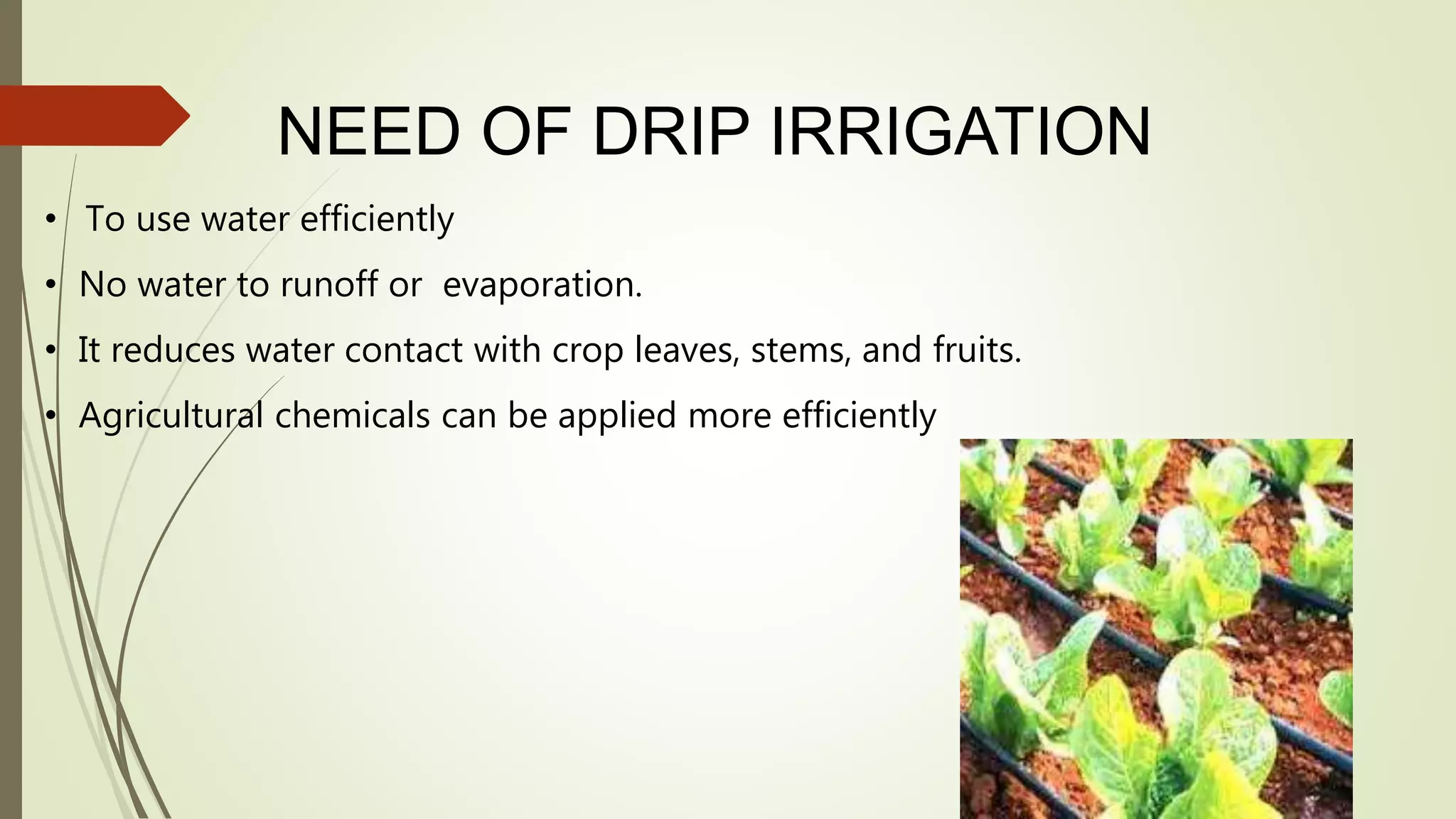 ppt on drip irrigation | PPTX