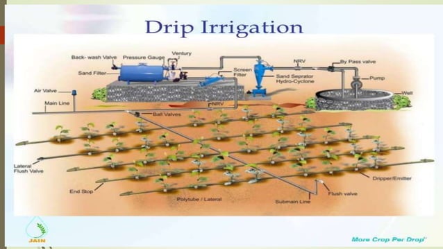ppt on drip irrigation | PPTX