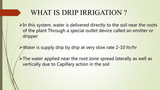 ppt on drip irrigation | PPTX
