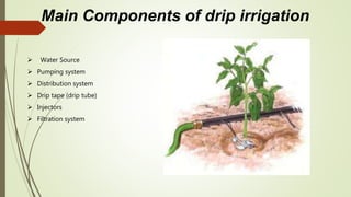 ppt on drip irrigation | PPTX