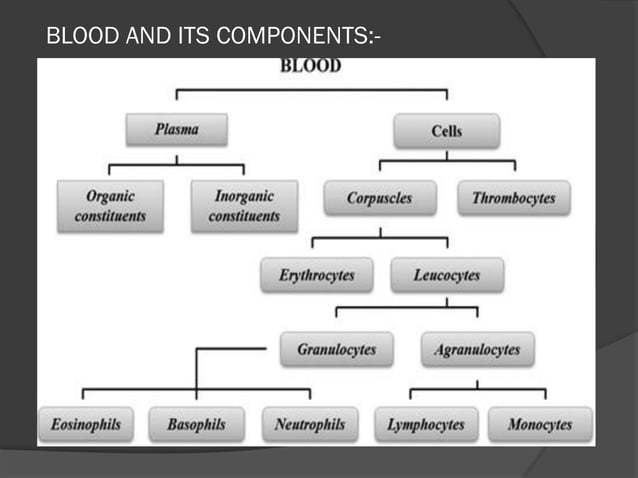 Blood conservation stratergies during cardiac surgery | PDF | Blood ...