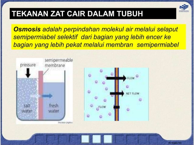 Tekanan zat cair (hidrostatis, pascal, bejana berhubungan).pptx | Free ...