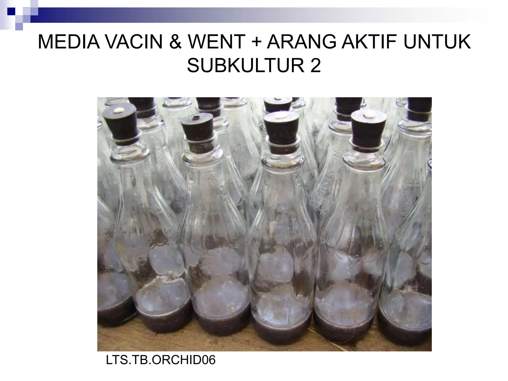 teknologi benih anggrek, jenis media anggrek | PPT