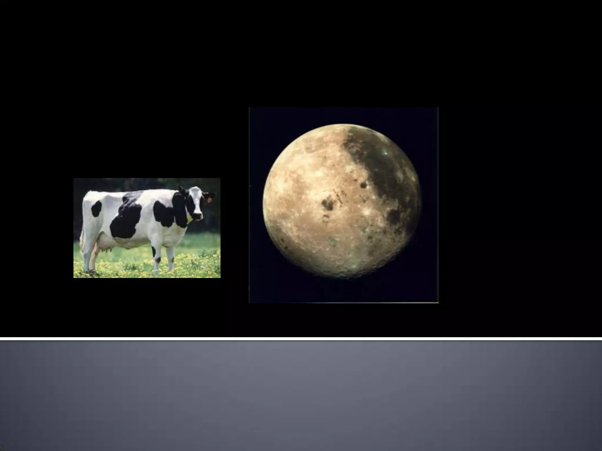 soph animations | PPT