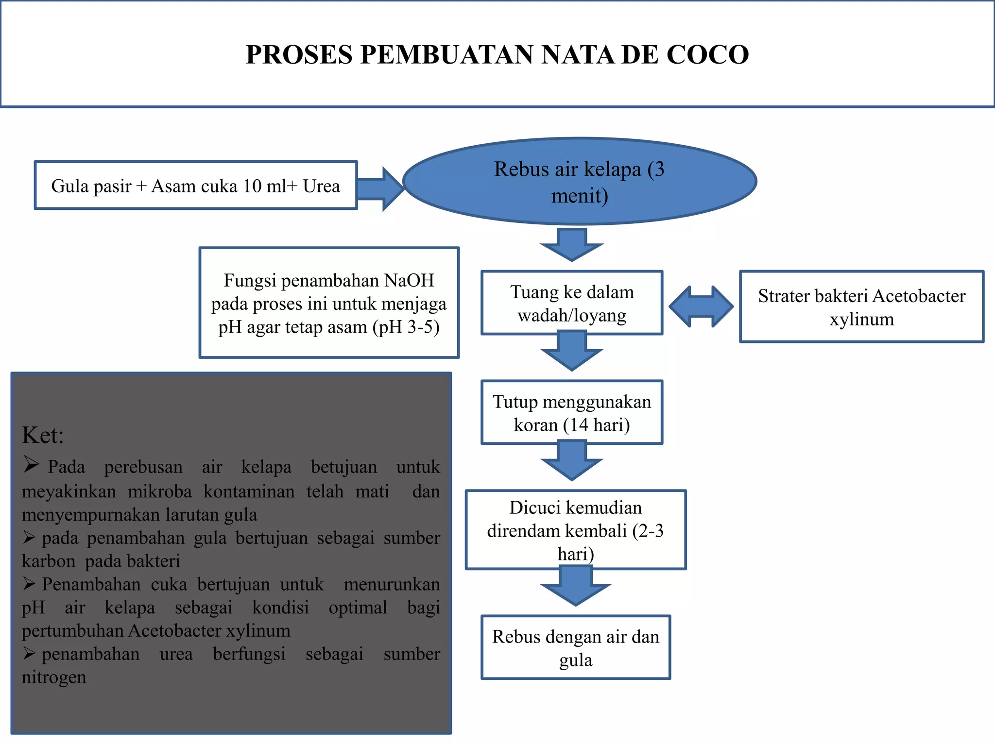 Tekmologi Fermentasi Nata De Coco (Ramdani dan Fitriani | PPTX