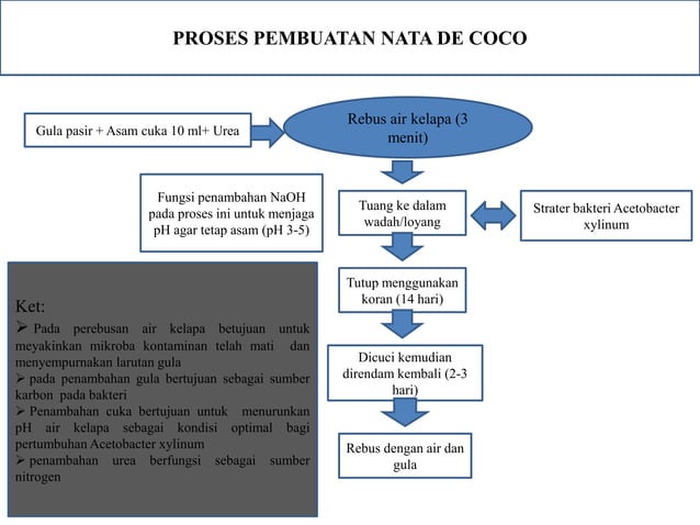 Tekmologi Fermentasi Nata De Coco (Ramdani dan Fitriani | PPT