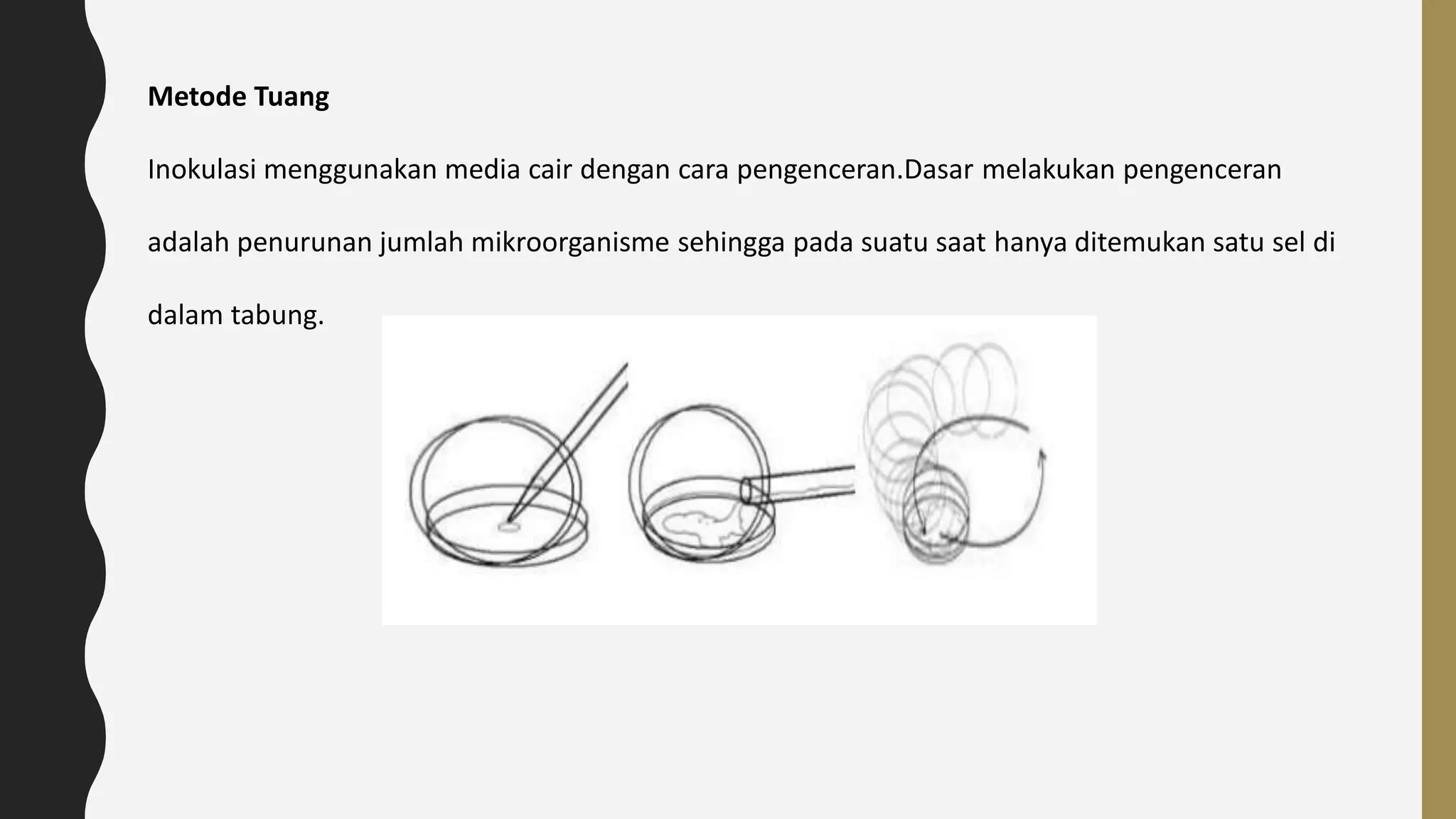 Tekni Inokulasi Mikroba Dan Media Pertumbuhan Mikroba kelompok 6 (1B) | PDF