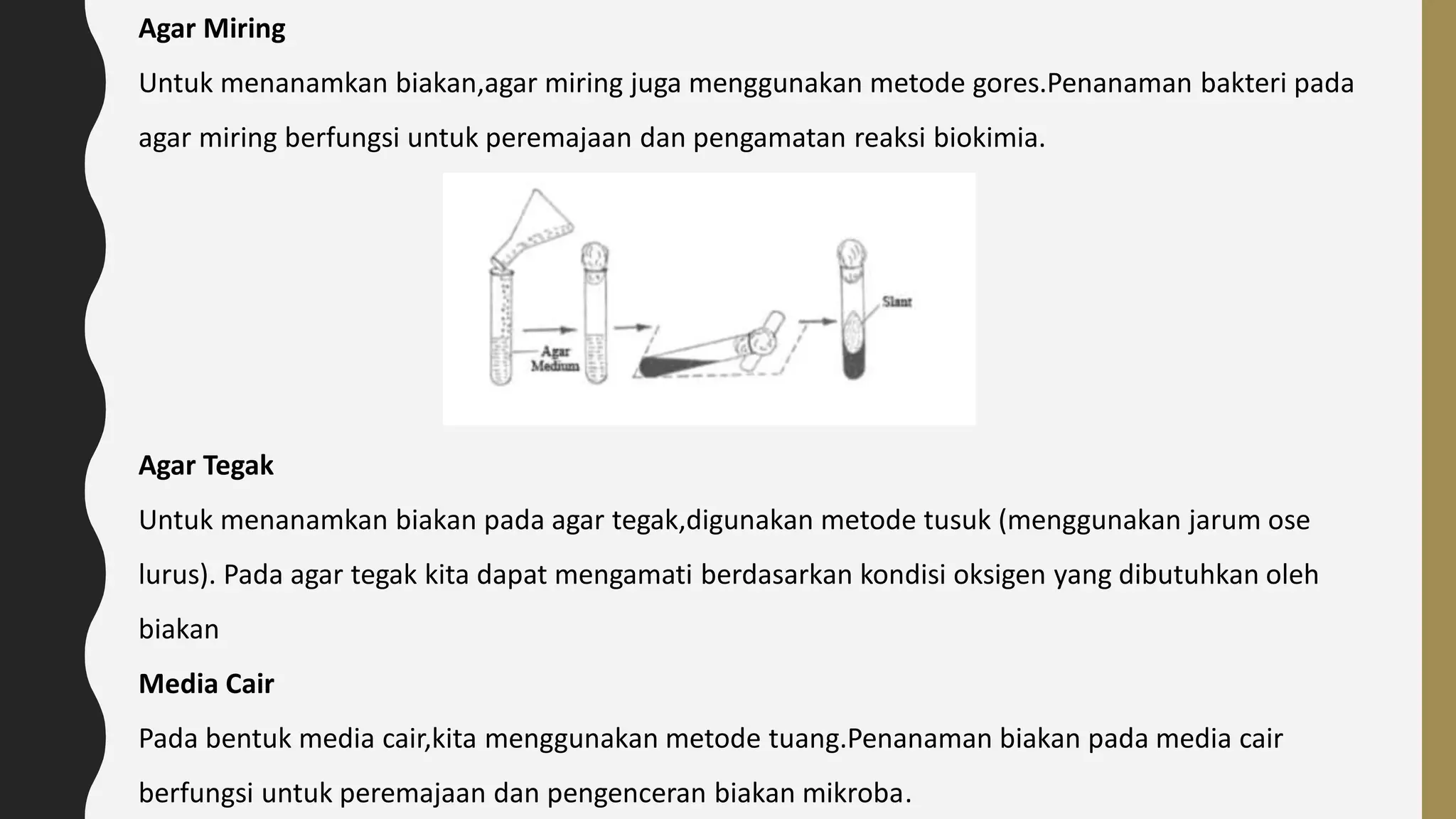 Tekni Inokulasi Mikroba Dan Media Pertumbuhan Mikroba kelompok 6 (1B) | PDF
