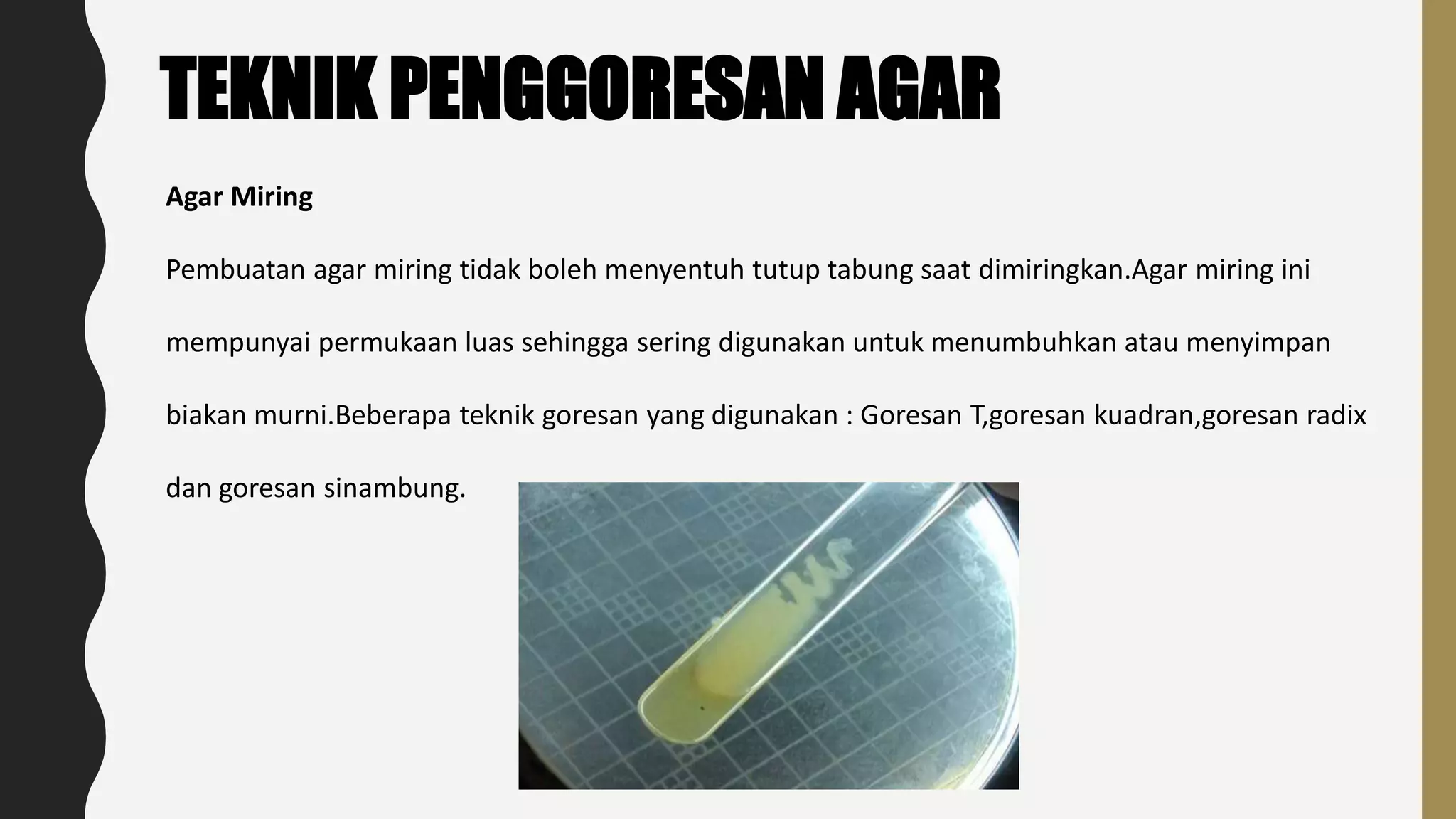 Tekni Inokulasi Mikroba Dan Media Pertumbuhan Mikroba kelompok 6 (1B) | PDF