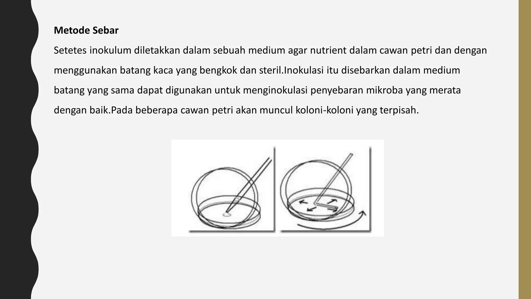 Tekni Inokulasi Mikroba Dan Media Pertumbuhan Mikroba kelompok 6 (1B) | PDF