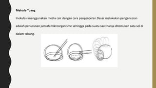 Tekni Inokulasi Mikroba Dan Media Pertumbuhan Mikroba kelompok 6 (1B) | PDF