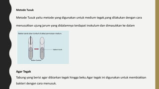 Tekni Inokulasi Mikroba Dan Media Pertumbuhan Mikroba kelompok 6 (1B) | PDF