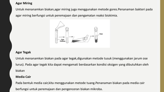 Tekni Inokulasi Mikroba Dan Media Pertumbuhan Mikroba kelompok 6 (1B) | PDF