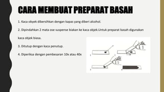 Tekni Inokulasi Mikroba Dan Media Pertumbuhan Mikroba kelompok 6 (1B) | PDF