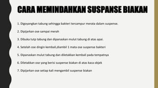 Tekni Inokulasi Mikroba Dan Media Pertumbuhan Mikroba kelompok 6 (1B) | PPT