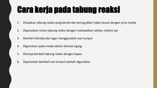 Tekni Inokulasi Mikroba Dan Media Pertumbuhan Mikroba kelompok 6 (1B) | PDF