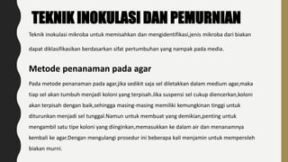 Tekni Inokulasi Mikroba Dan Media Pertumbuhan Mikroba kelompok 6 (1B) | PDF