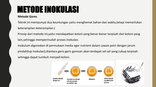 Tekni Inokulasi Mikroba Dan Media Pertumbuhan Mikroba kelompok 6 (1B) | PDF