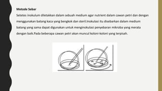 Tekni Inokulasi Mikroba Dan Media Pertumbuhan Mikroba kelompok 6 (1B) | PDF