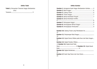 TEKNIK-BUDIDAYA- anggur 2023.docx