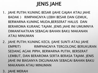 teknik-budidaya-tanaman-jahe_Upload.pptx