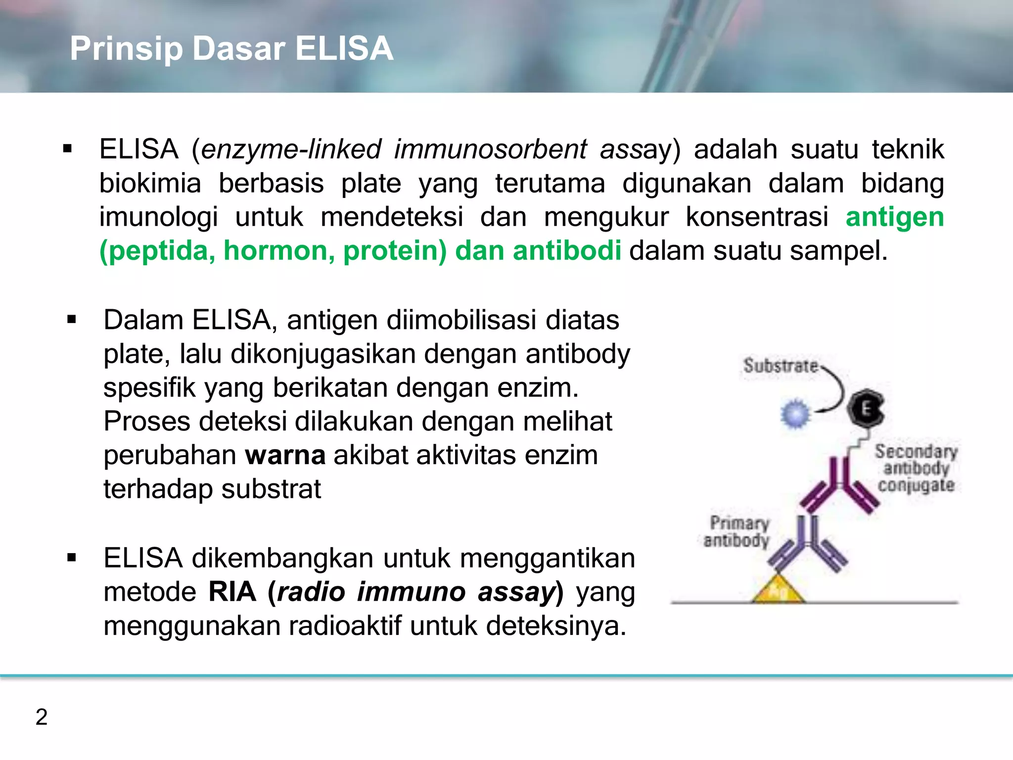 Teknik-Dasar-ELISA-dan-Aplikasinya-untuk-Deteksi-Pathogen.pptx
