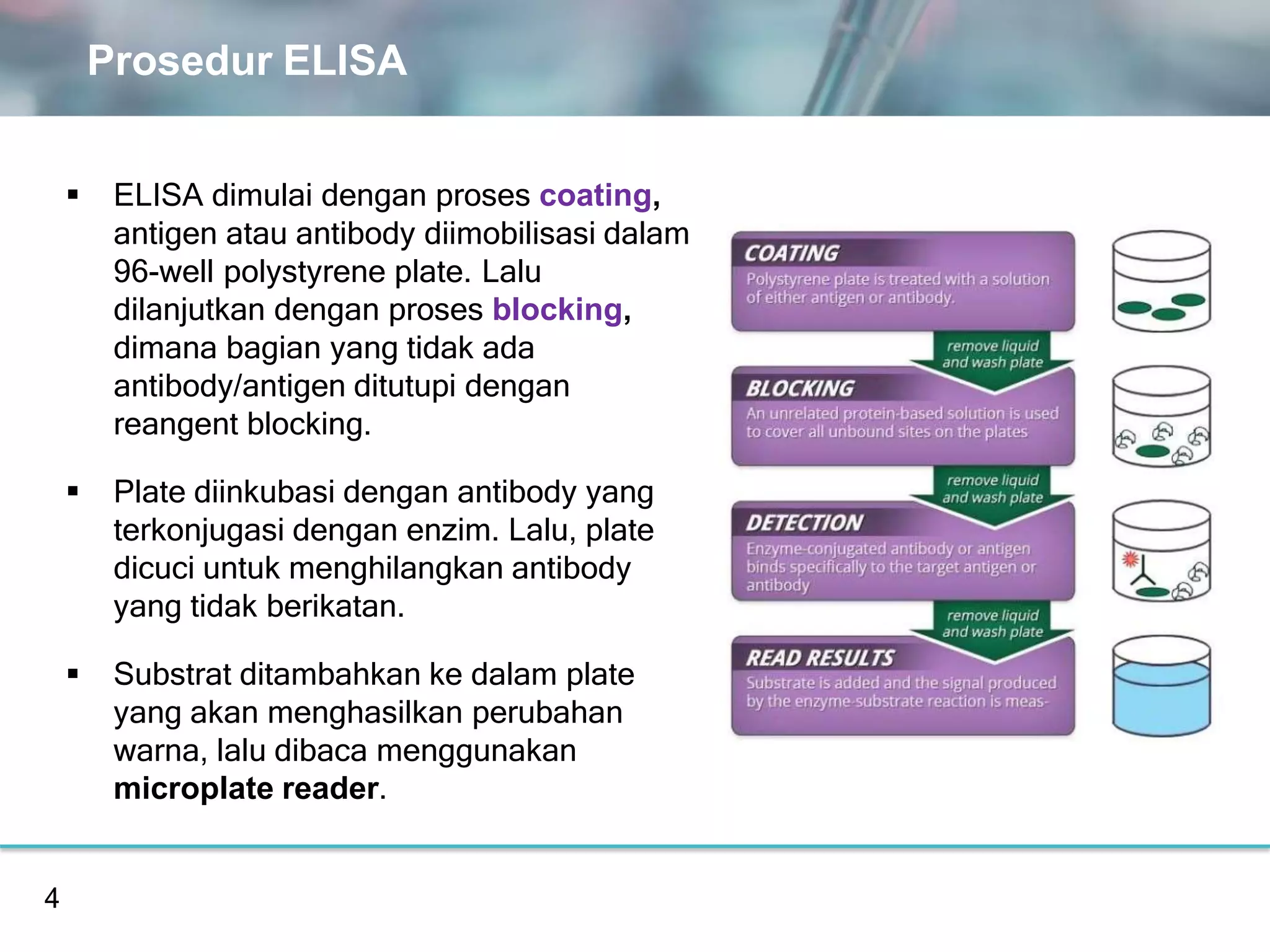 Teknik-Dasar-ELISA-dan-Aplikasinya-untuk-Deteksi-Pathogen.pptx